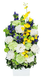 花キューピット アレンジメント [524251] (お盆・秋彼岸)